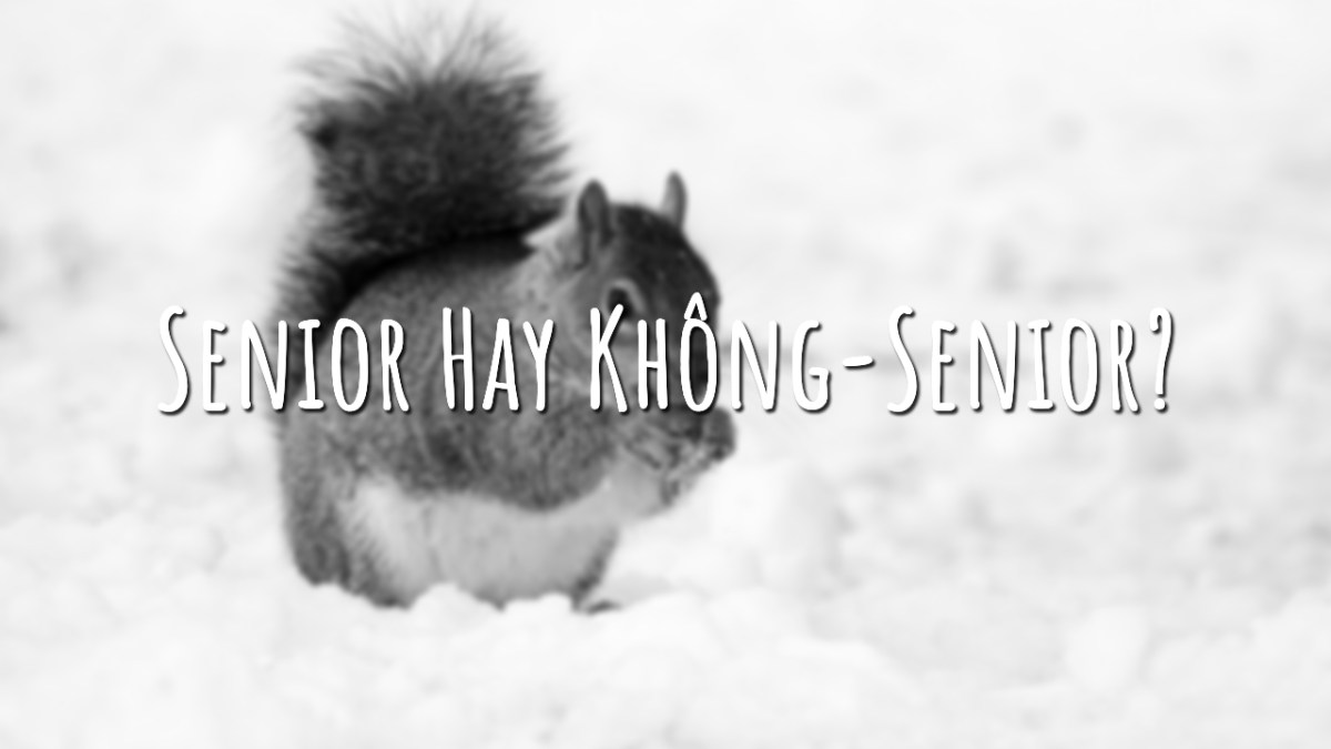 Senior hay không-Senior? – Codeaholicguy